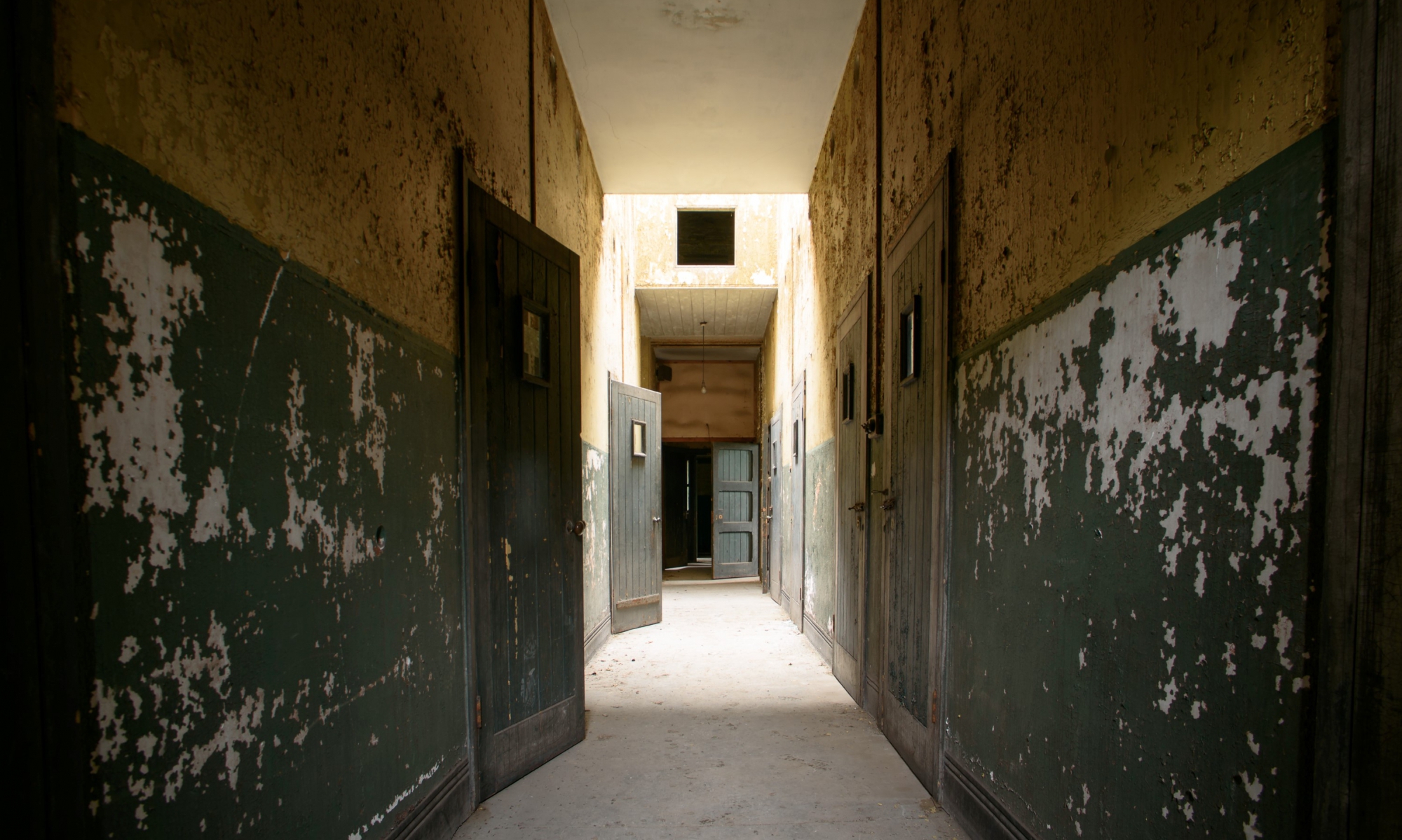 The History of the Asylum